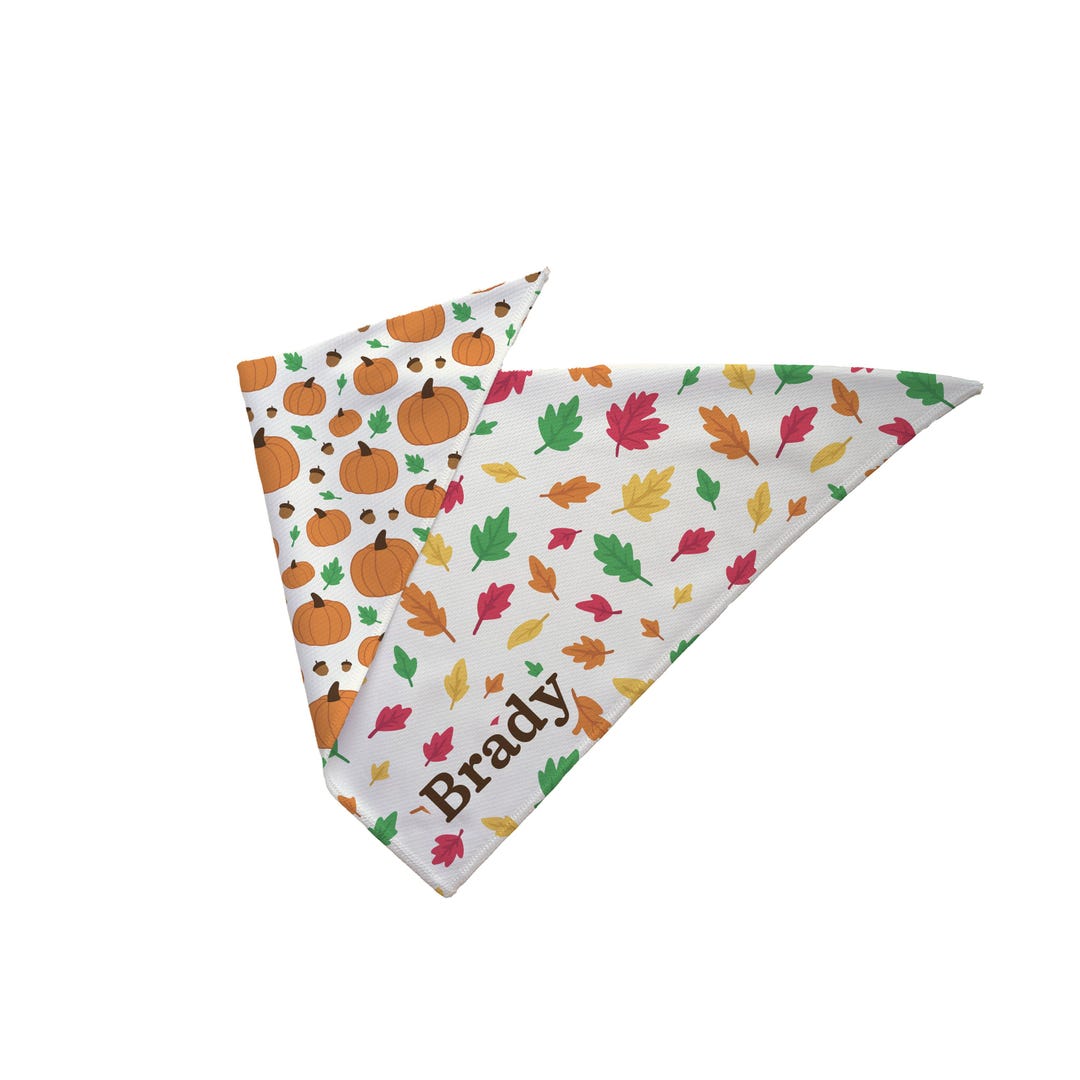 Reversible Fall Dog Bandana: Pumpkin & Leaf Print, Autumn Pet Scarf - Etsy