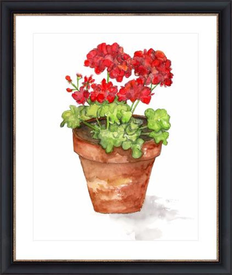 Red Geranium Watercolor Painting: Floral Giclée Art Print (8x10) - Etsy