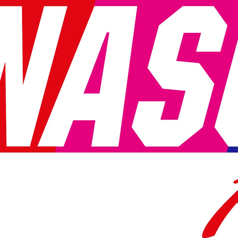 Nascar Stickers - Etsy