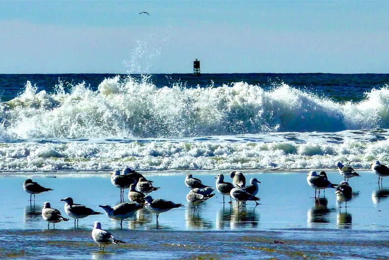 Dramatic Personally Taken Photo of Atlantic Coast | Tropical Photograph ...