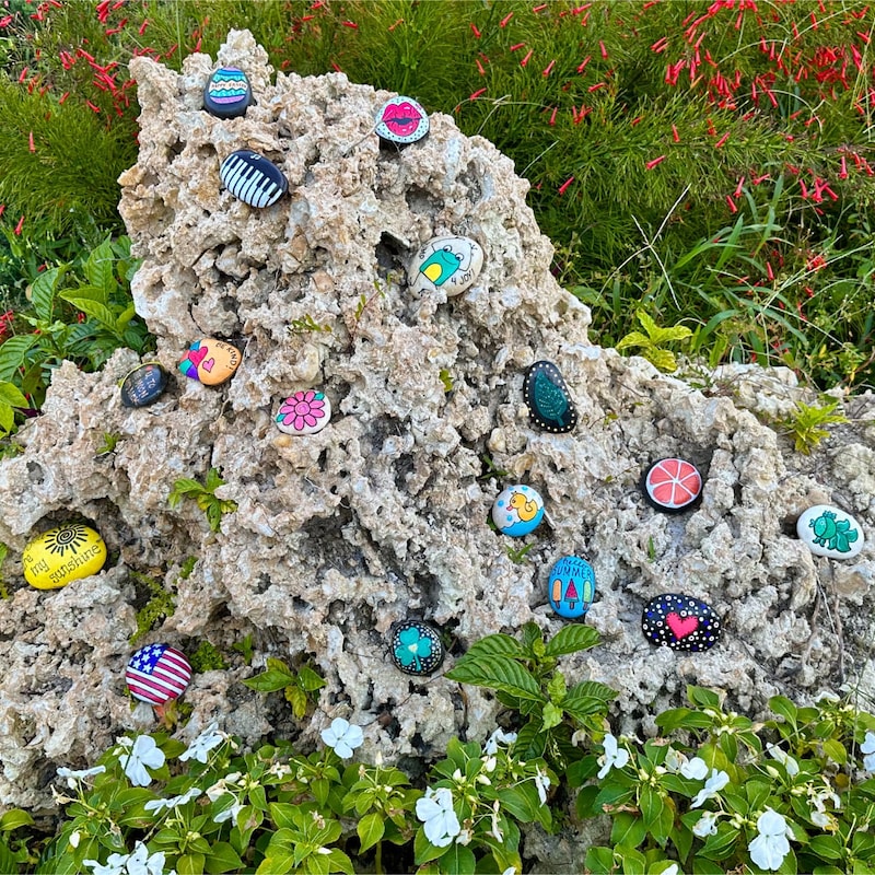 Funny Painted Rocks - Etsy