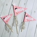 Small or Mini Graduation Felt Pennant 2026, Class of 2026 Party Decor ...