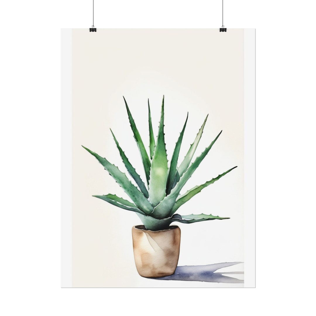 Aloe Vera Plant, Aloe Vera Poster, Plant Print - Etsy