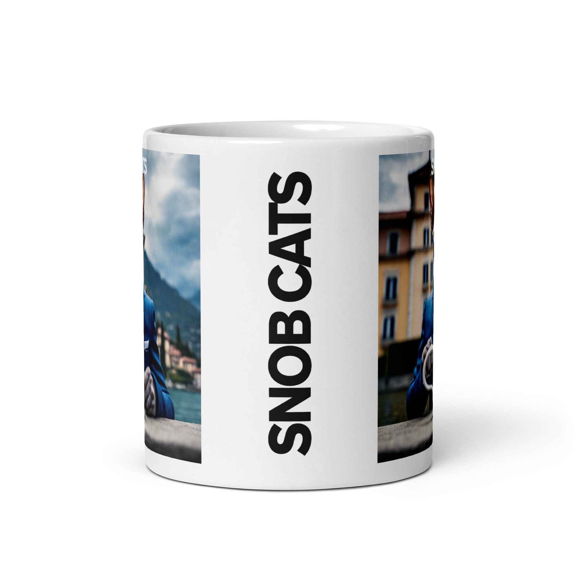 SNOB CATS: Sphynx Cat Villa 1 / Cute / Funny / Gifts for Her / Gift for ...