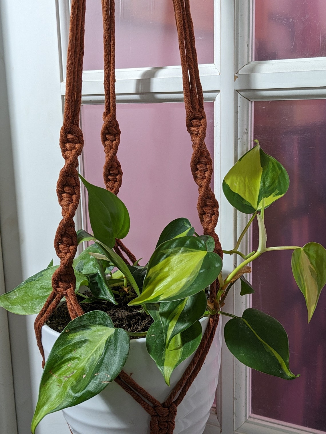 Plant Hanger Gingerbread Macrame Twist - Etsy