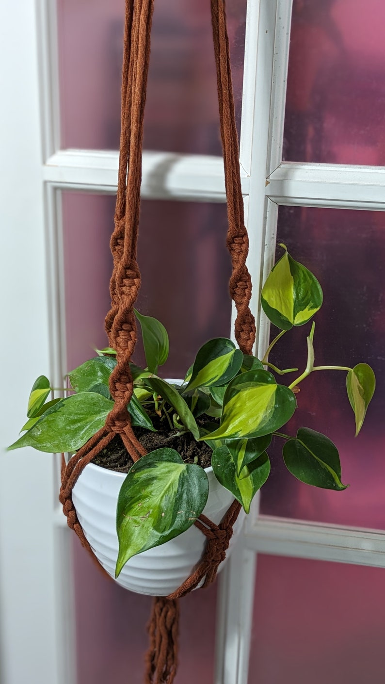 Plant Hanger Gingerbread Macrame Twist - Etsy