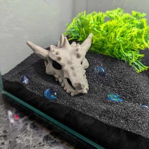 3D Printed Dragon Skull Fish Hide: Aquarium Terrarium Decor - Etsy