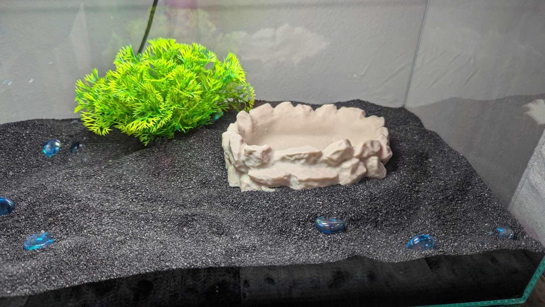Mid-sized Water Bowl With Ramp | Reptile Water Dish With Easy Access ...