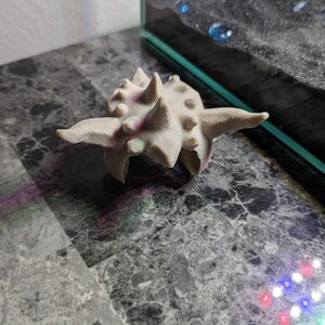 3D Printed Dragon Skull Fish Hide: Aquarium Terrarium Decor - Etsy
