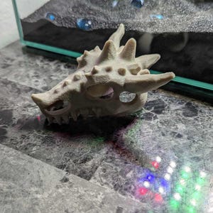 3D Printed Dragon Skull Fish Hide: Aquarium Terrarium Decor - Etsy