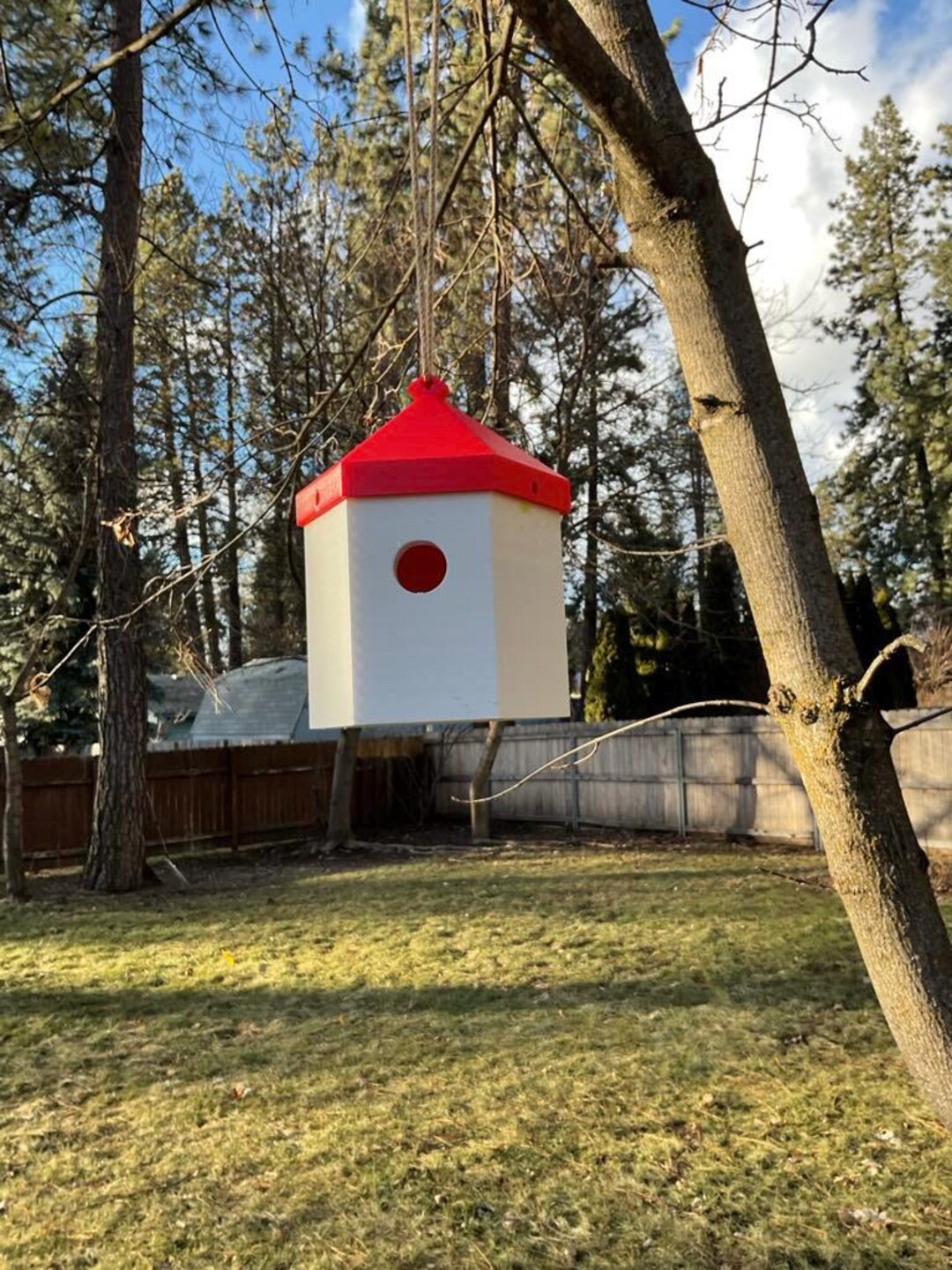 White Ultra-insulated Bird House -blue Bird Nesting - Etsy