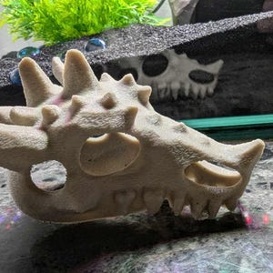 3D Printed Dragon Skull Fish Hide: Aquarium Terrarium Decor - Etsy