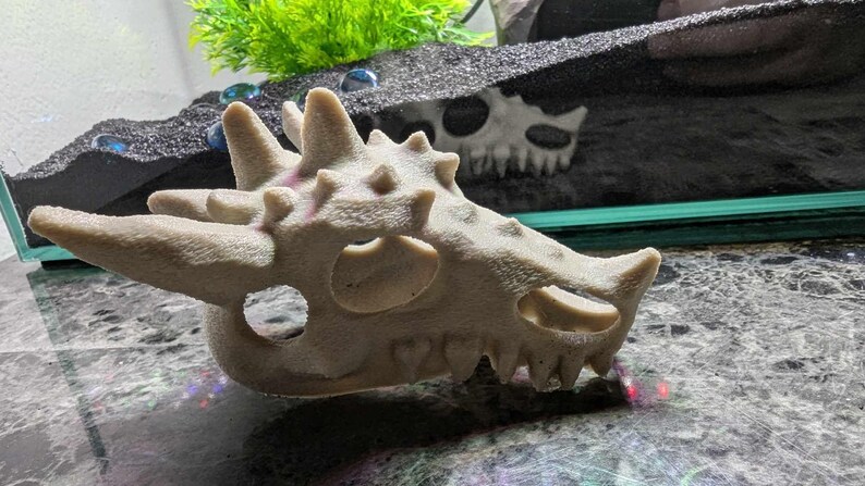 3D Printed Dragon Skull Fish Hide: Aquarium Terrarium Decor - Etsy
