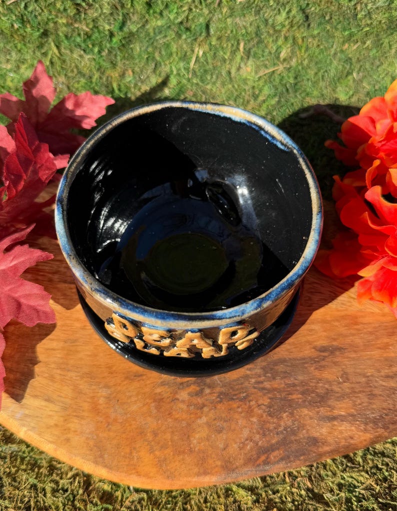 Dead Plant Planter Funny Planter for Your Dead or Alive Plants With ...