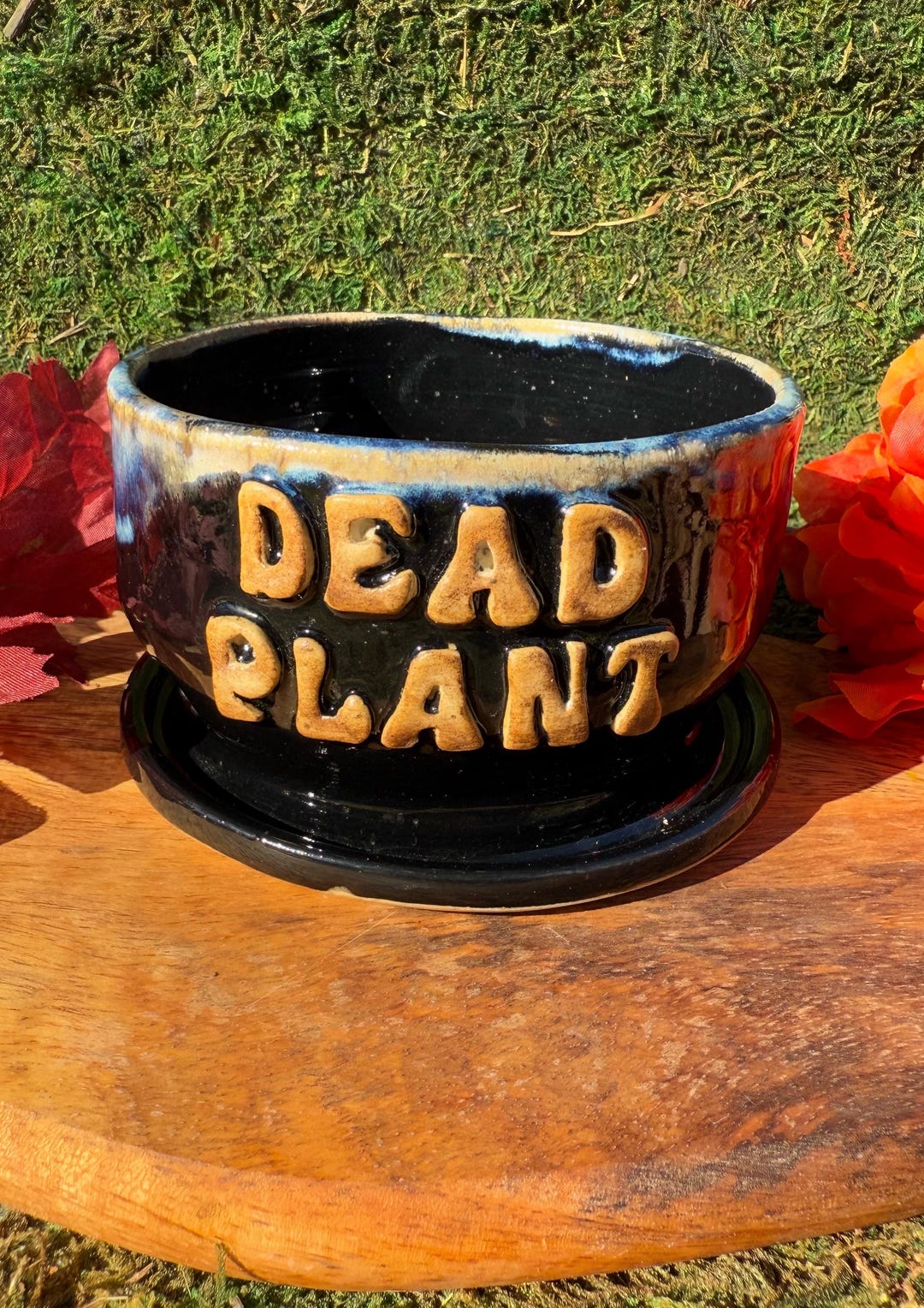 Dead Plant Planter Funny Planter for Your Dead or Alive Plants With ...