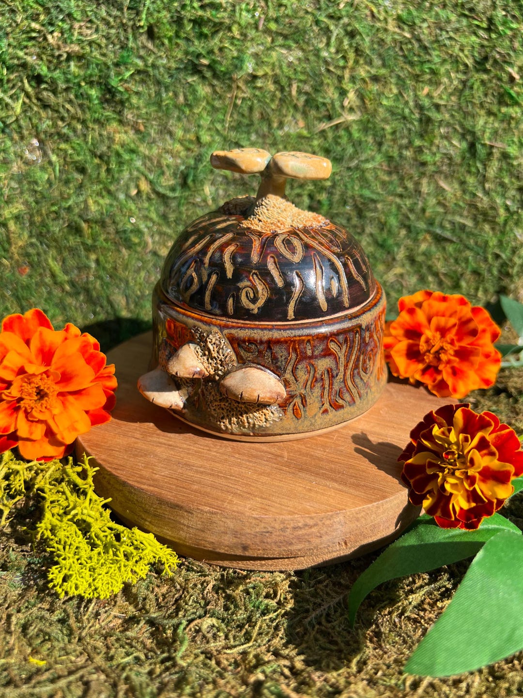 Small Mushroom Stash Jar Container With Lid - Etsy