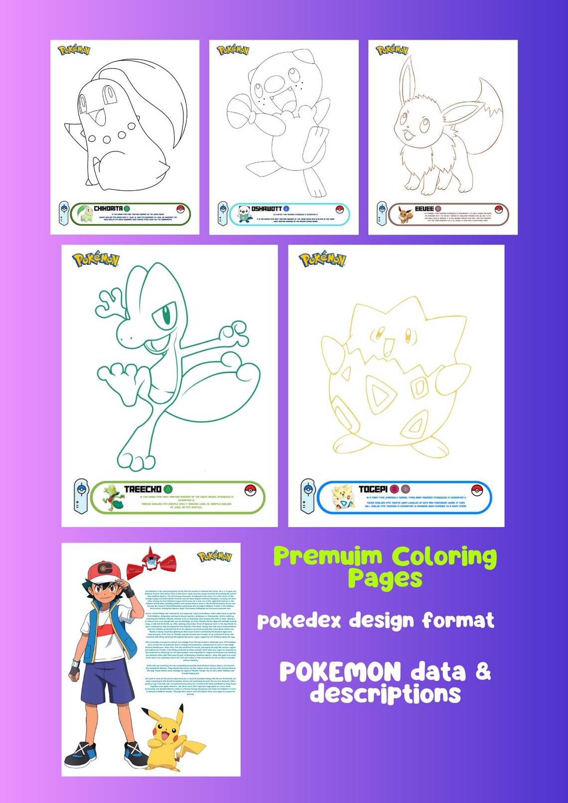 Coloring and All in One Activity Book Pokemon Inspired - Etsy