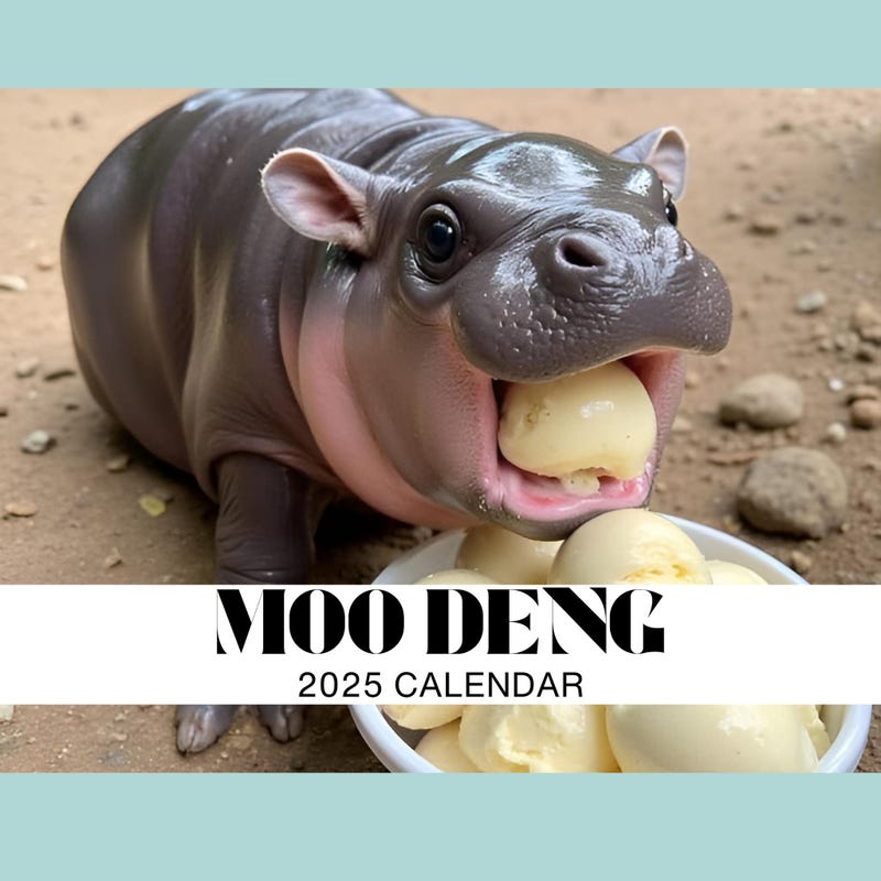 Moo Deng Merch - Etsy