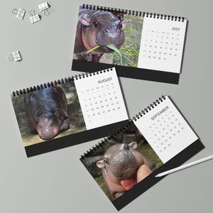 Moo Deng 2025 Desktop Calendar Moo Deng Christmas Gift Moo Deng Gift ...