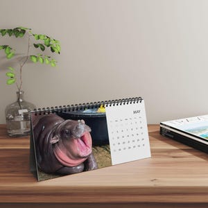 Moo Deng 2025 Desktop Calendar Moo Deng Christmas Gift Moo Deng Gift ...