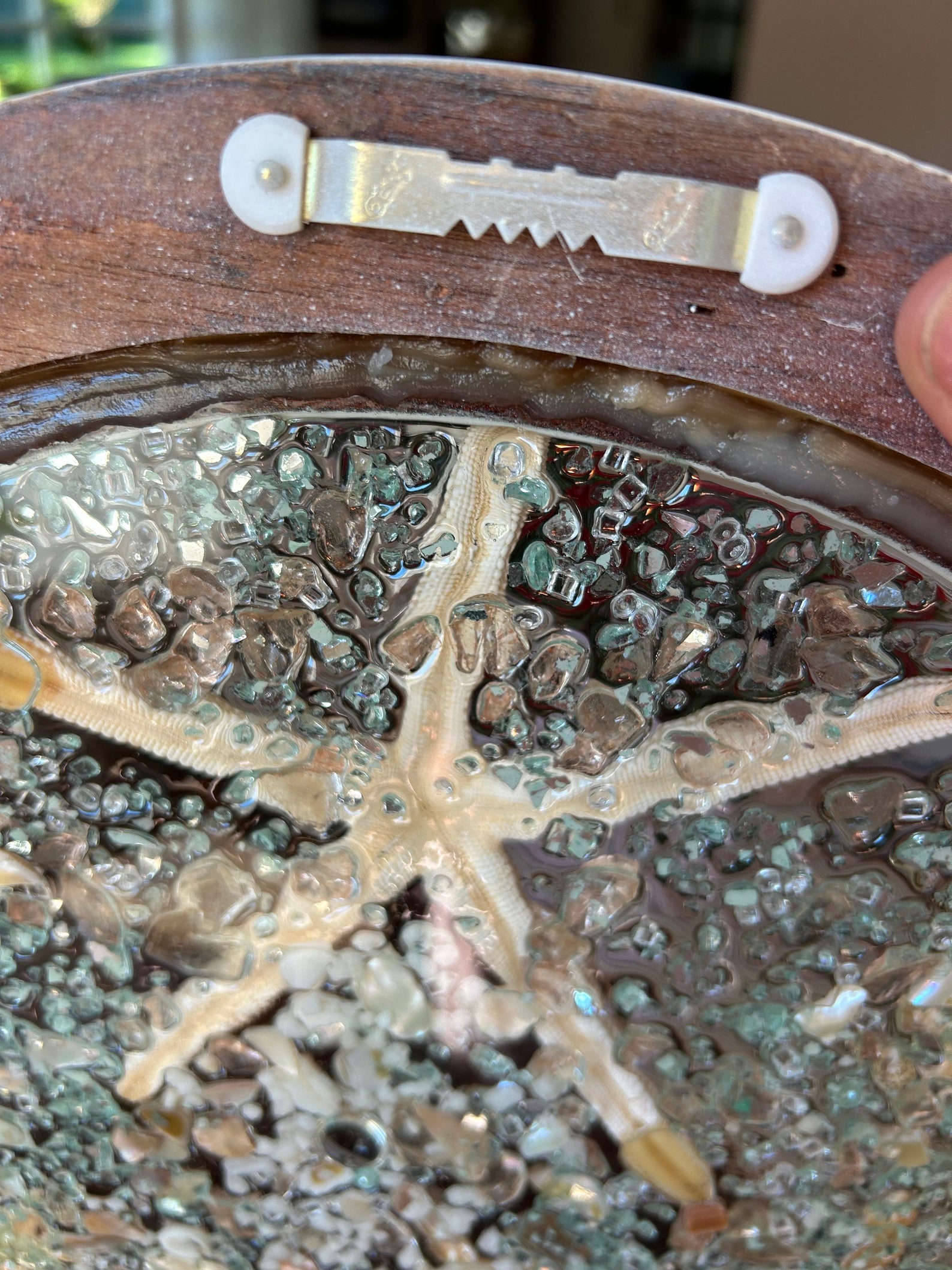 Seashell Resin Art/beach House Decor/coastal Wall Art/starfish Sea ...