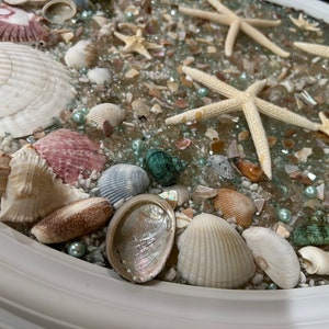 Seashell Resin Art/beach House Decor/coastal Wall Art/starfish Sea ...