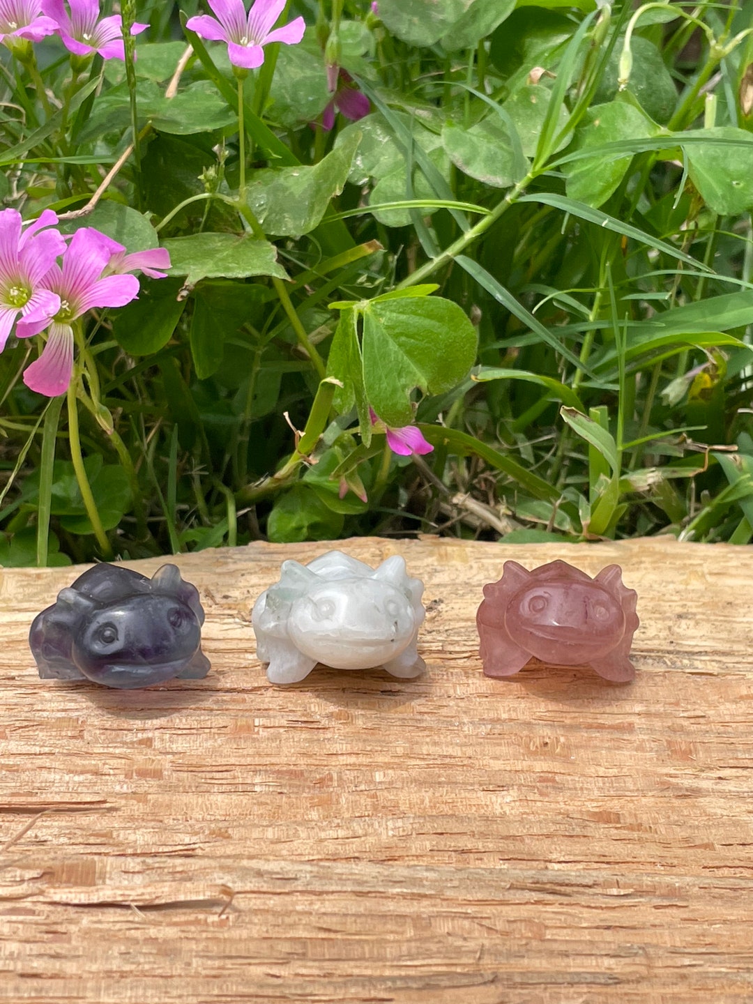 Axolotl Carving Crystal Home Decor Natural Stone - Etsy