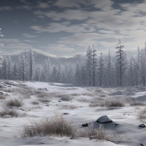 Digital Download. Forest in Winter. Snow, Mist, Bark, Moody, Quiet ...