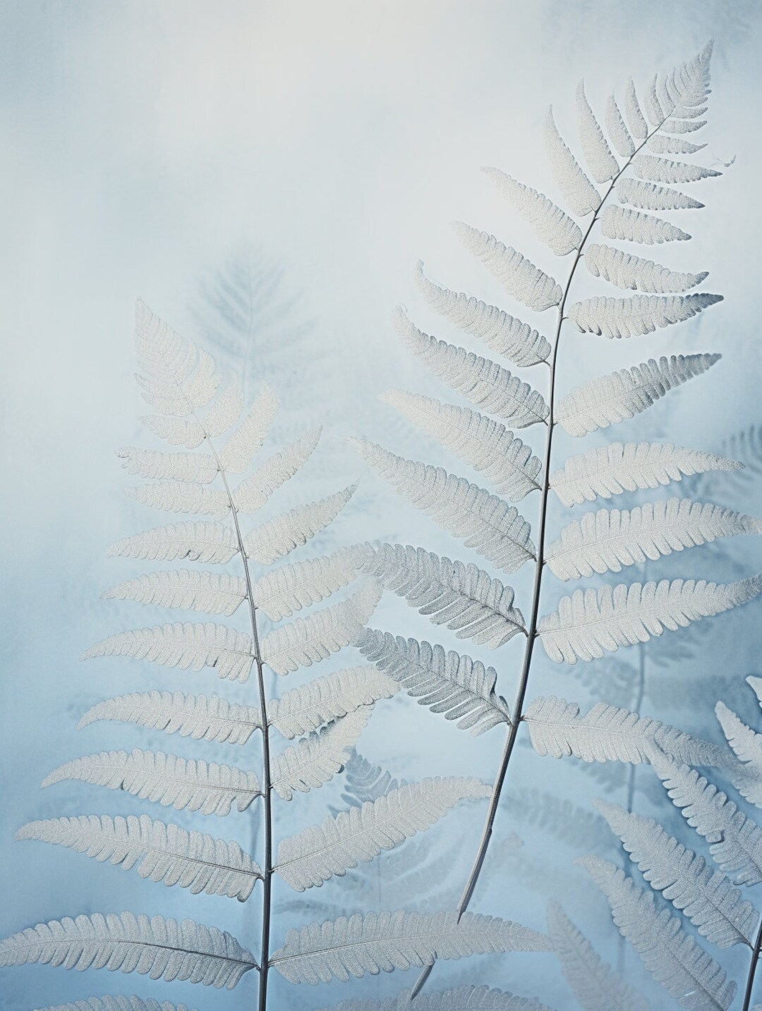 Digital Download. Blue Grey Fern Leaves. Modern Style. Perfect Wall Art ...