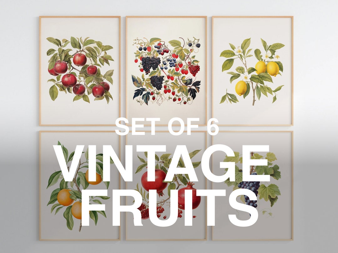 Vintage Fruit Gallery Wall Set, Botanical Prints, Vintage Botanical ...