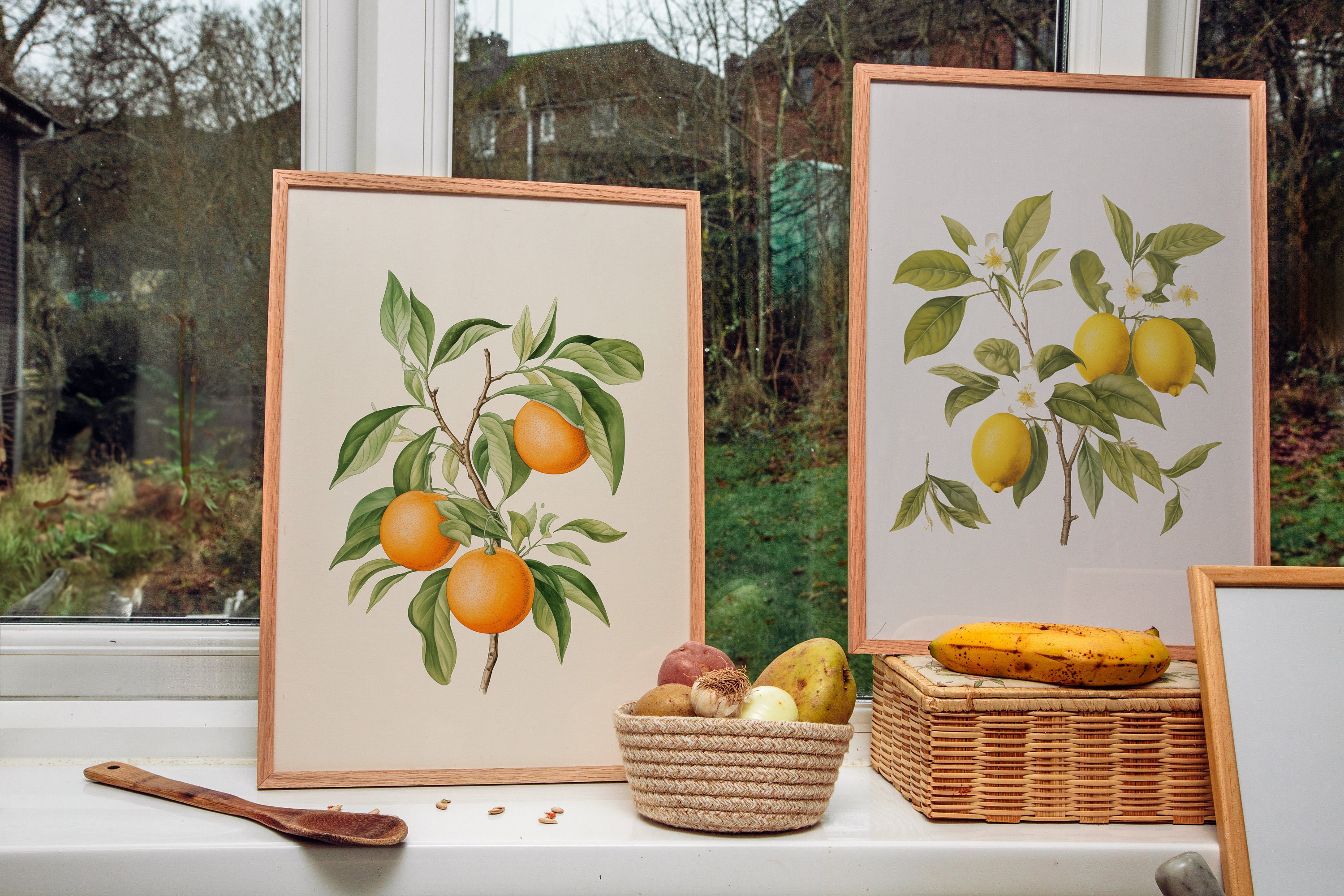 Vintage Botanical Fruit Wall Art Kitchen Prints Set of 6 Rustic Citrus ...