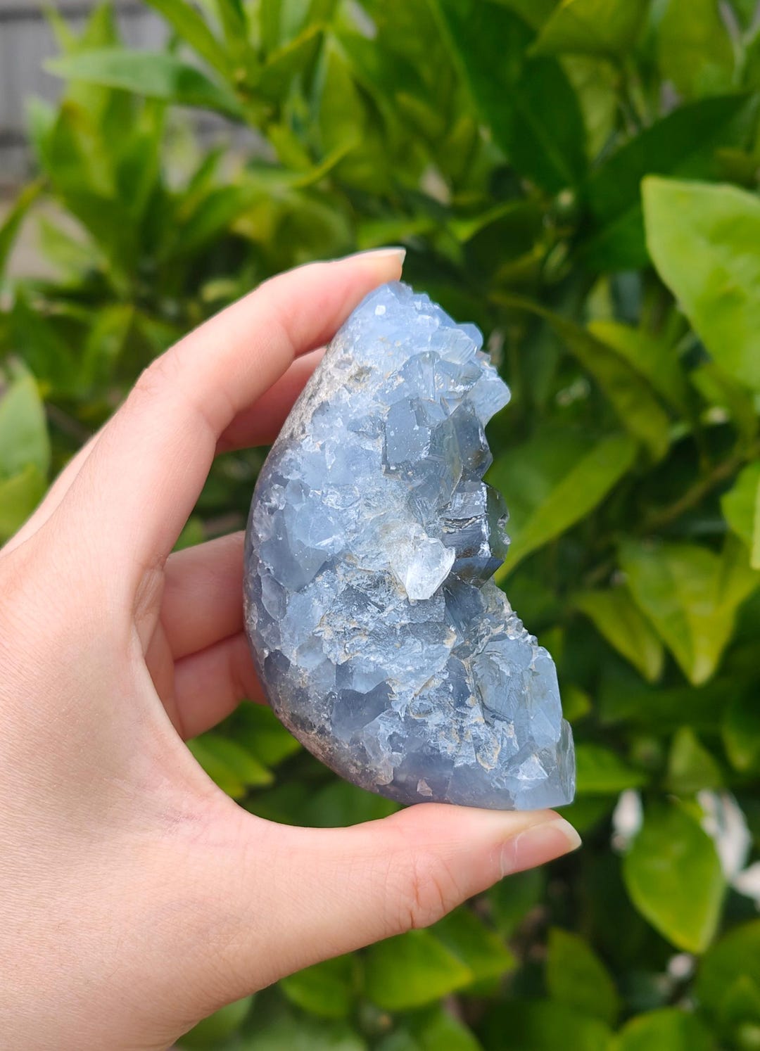 Natural Celestite Crystal, Blue Celestine Crystal, Intuition Crystal ...
