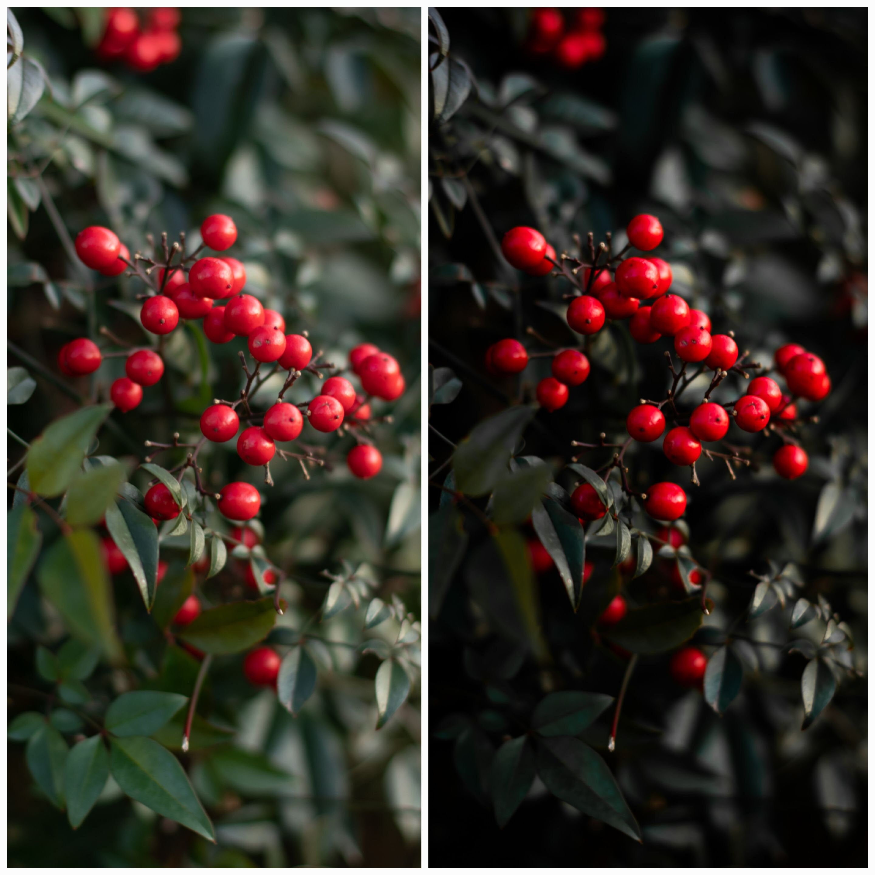 Professional Photo Retouching, Photo Recoloring, Photo Editing Service ...