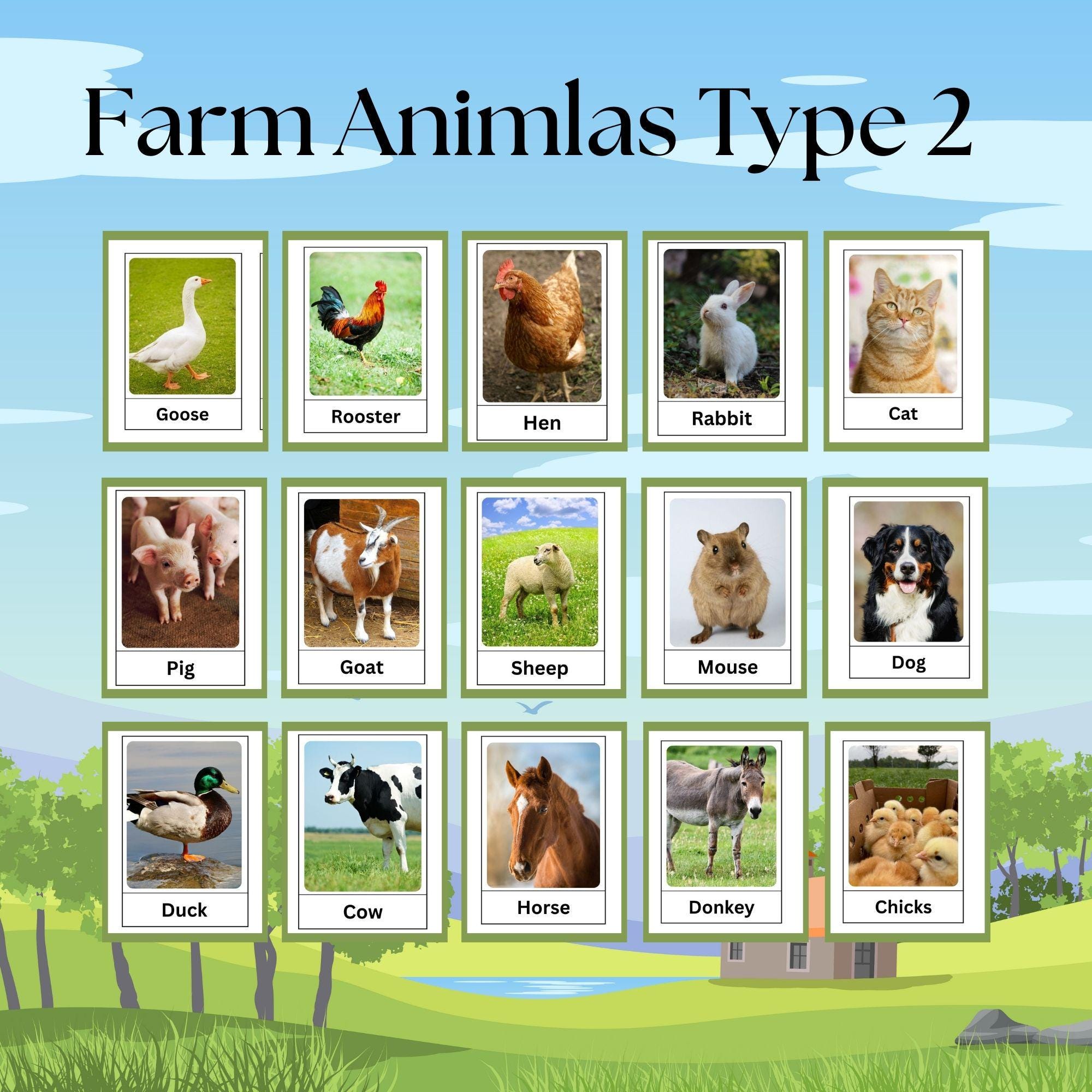 Farm Animals Flash Cards Printables Montessori Learning Activity for ...