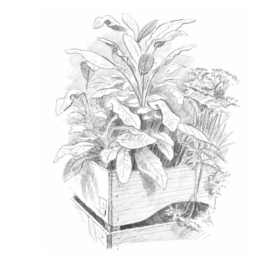 6-weeks Drawing Course - Etsy