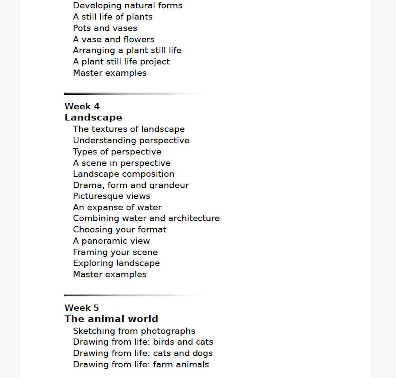 6-weeks Drawing Course - Etsy