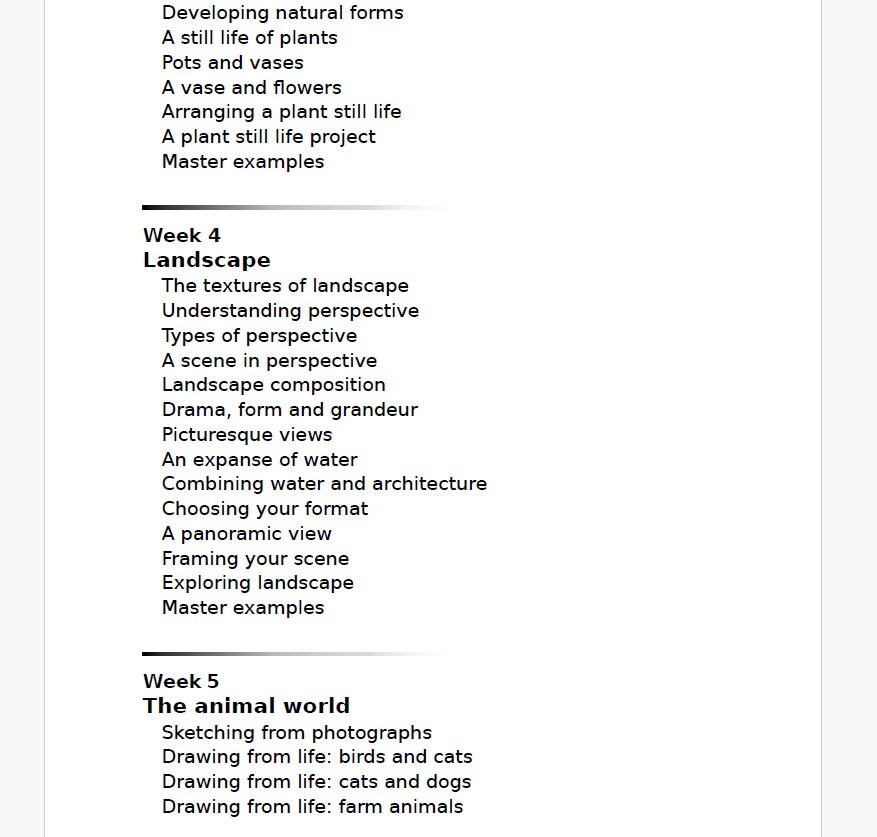 6-weeks Drawing Course - Etsy