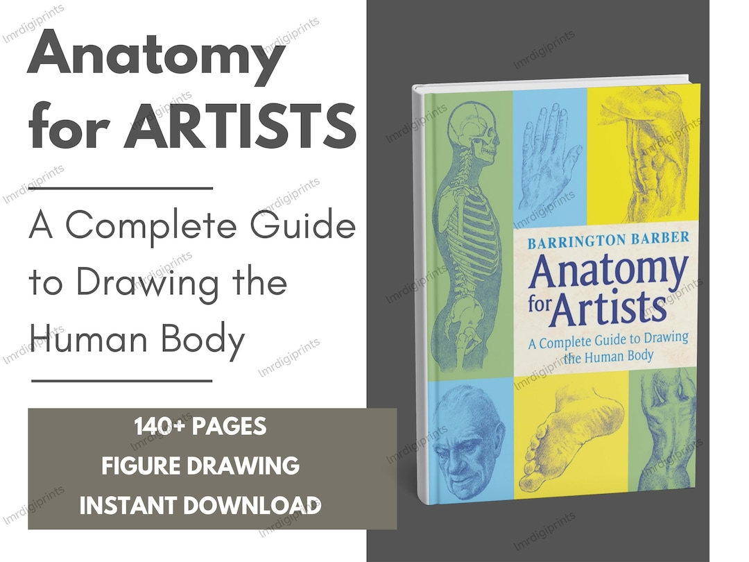 Anatomy for Artists: Complete Guide to Drawing the Human Body | Figure ...
