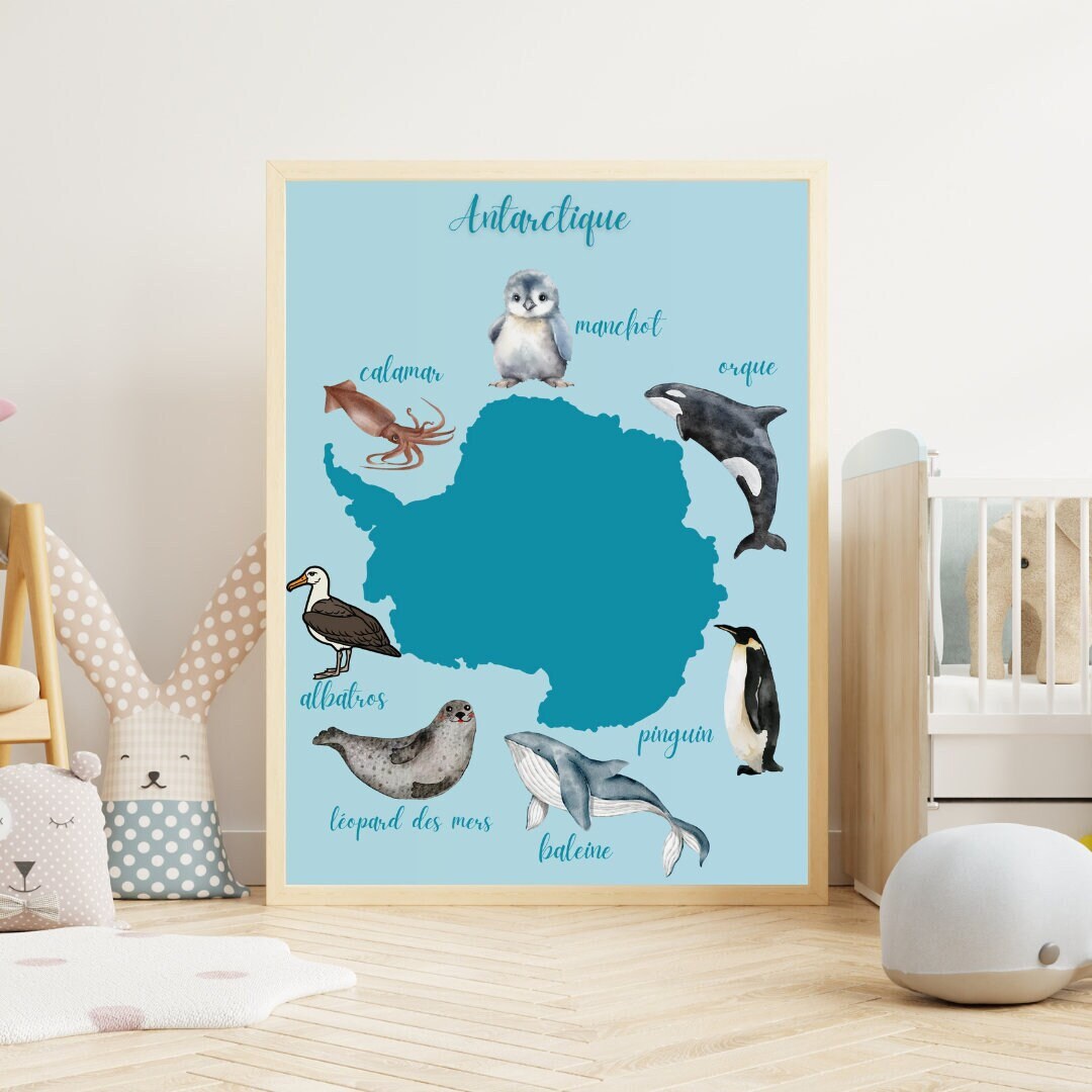 Poster the Continents / Antarctica - Etsy