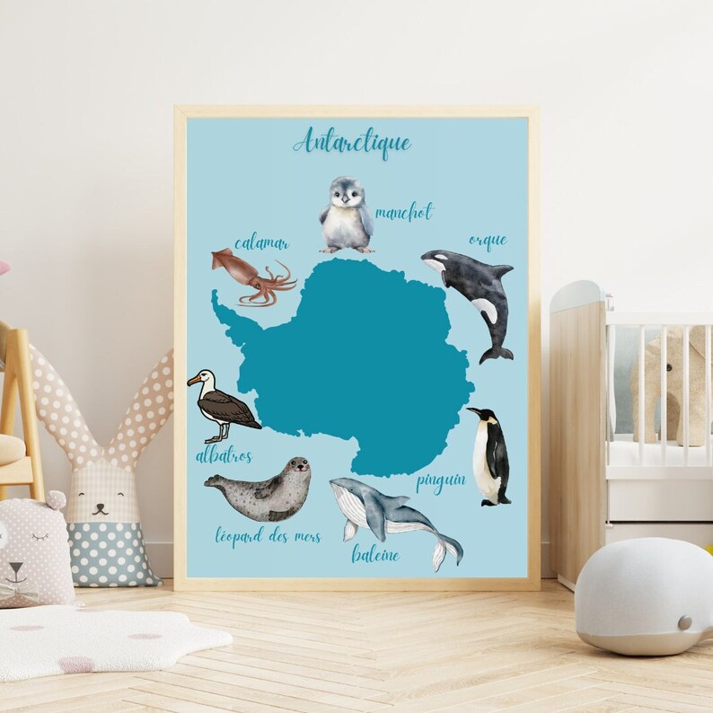Poster the Continents / Antarctica - Etsy