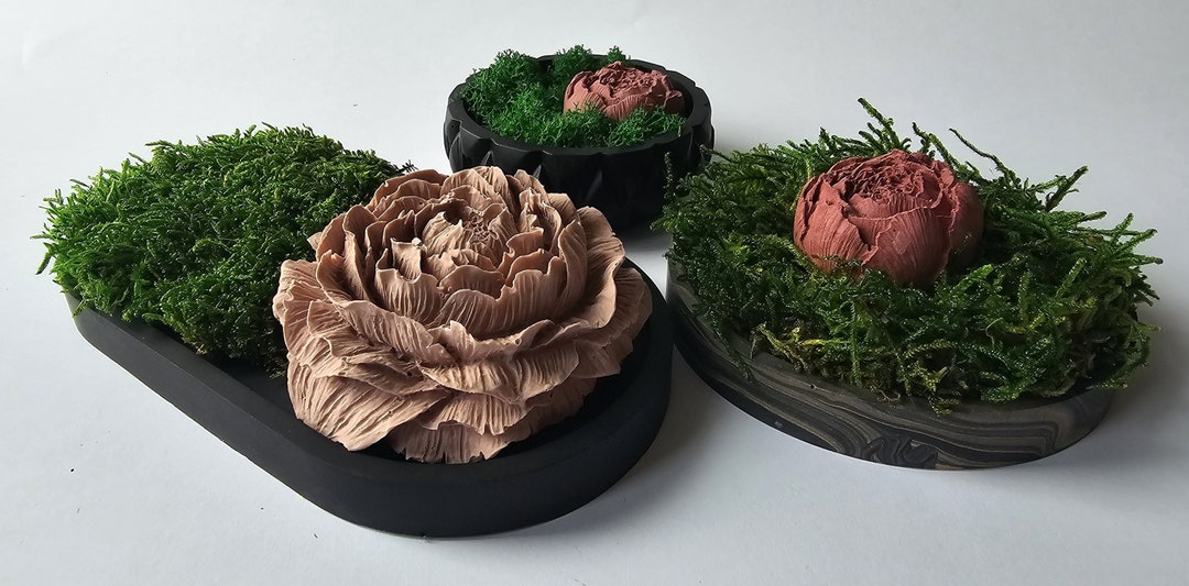 Passive Diffuser, Moss Art, Flower Shape Diffuser, Flower Aroma Stone ...