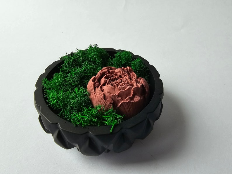 Passive Diffuser, Moss Art, Flower Shape Diffuser, Flower Aroma Stone ...