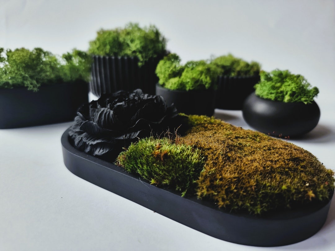 Moss Bowl Centerpiece, Table Centerpiece, Moss Art, Passive Diffuser ...