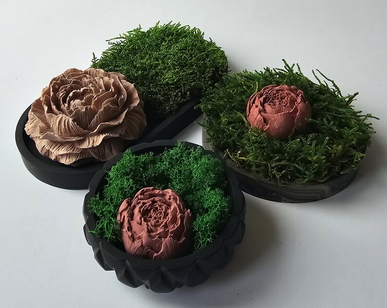 Passive Diffuser, Moss Art, Flower Shape Diffuser, Flower Aroma Stone ...