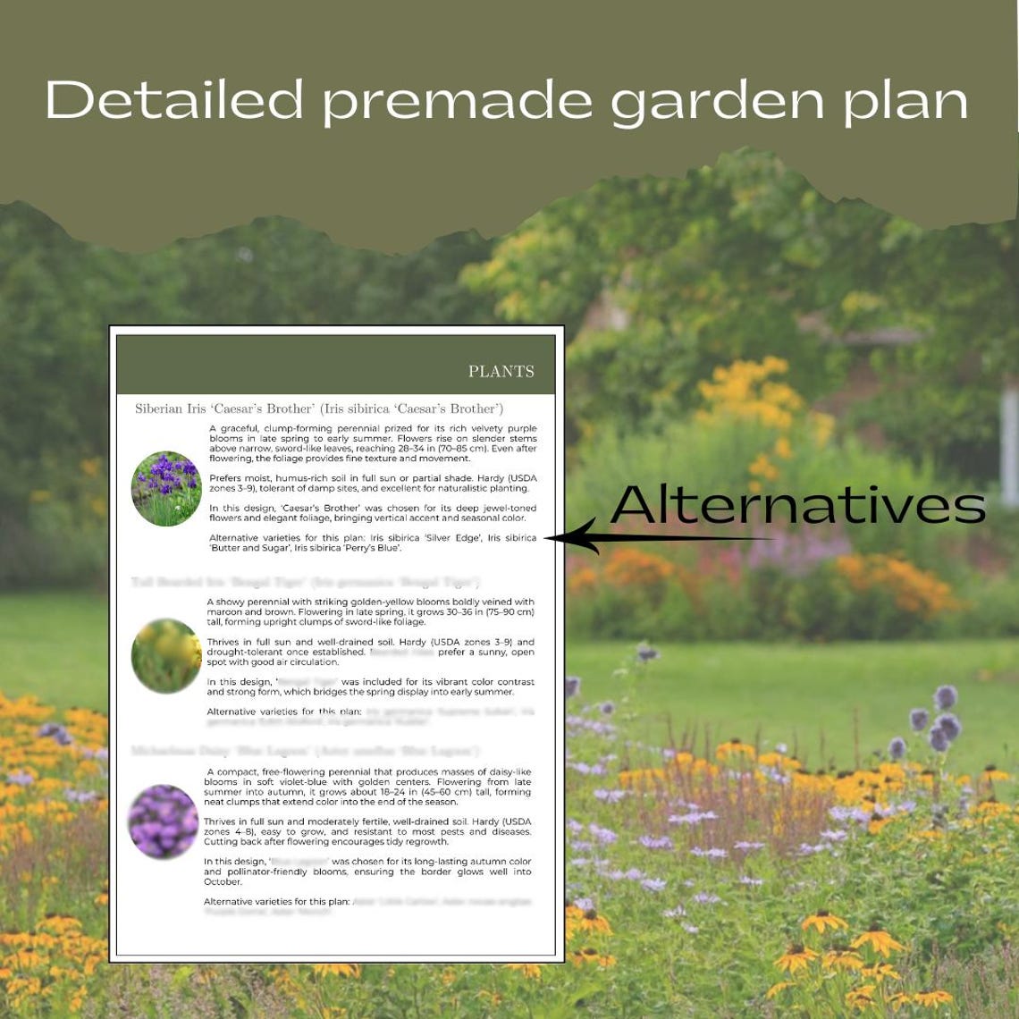 Pollinator Garden Design Plan: Full/partial Sun, Zones 4-8 (digital ...