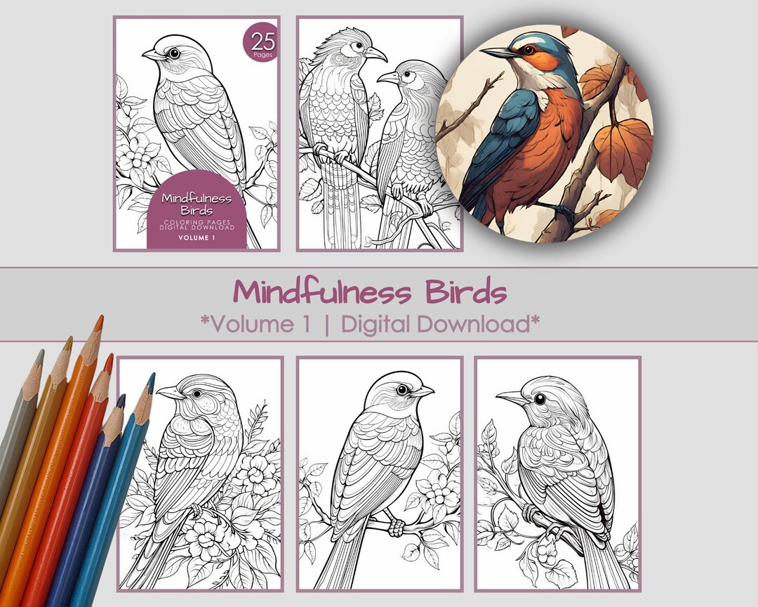 Mindfulness Birds Coloring Pages Volume 1: 25 Page Printable Digital ...