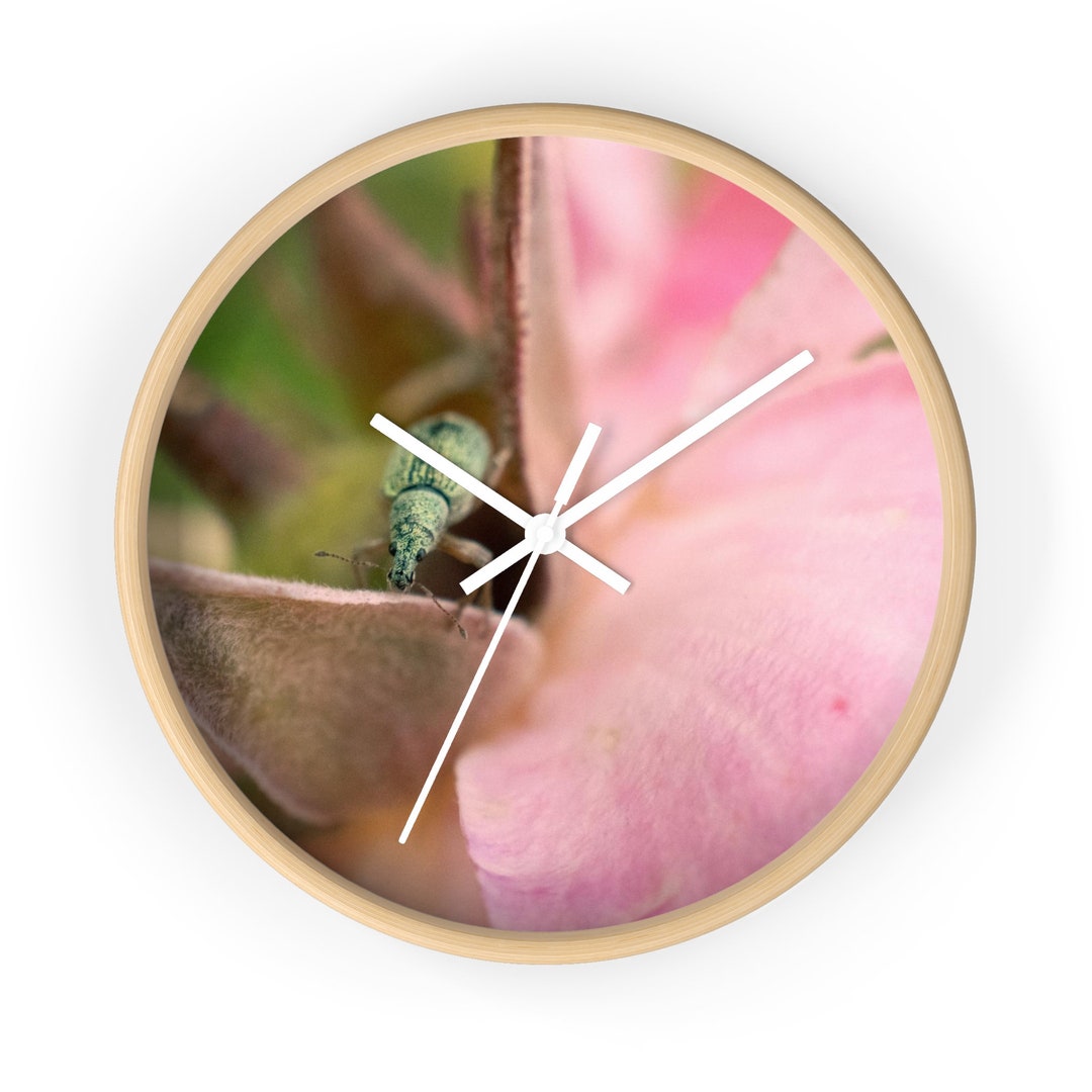 Beetle Ballet: Elegant Wall Clock With a Striking Macro Photograph - Etsy