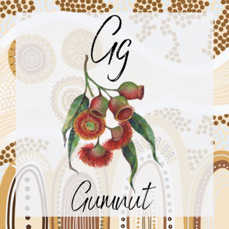 Aboriginal Classroom Alphabet Posters - Etsy Australia