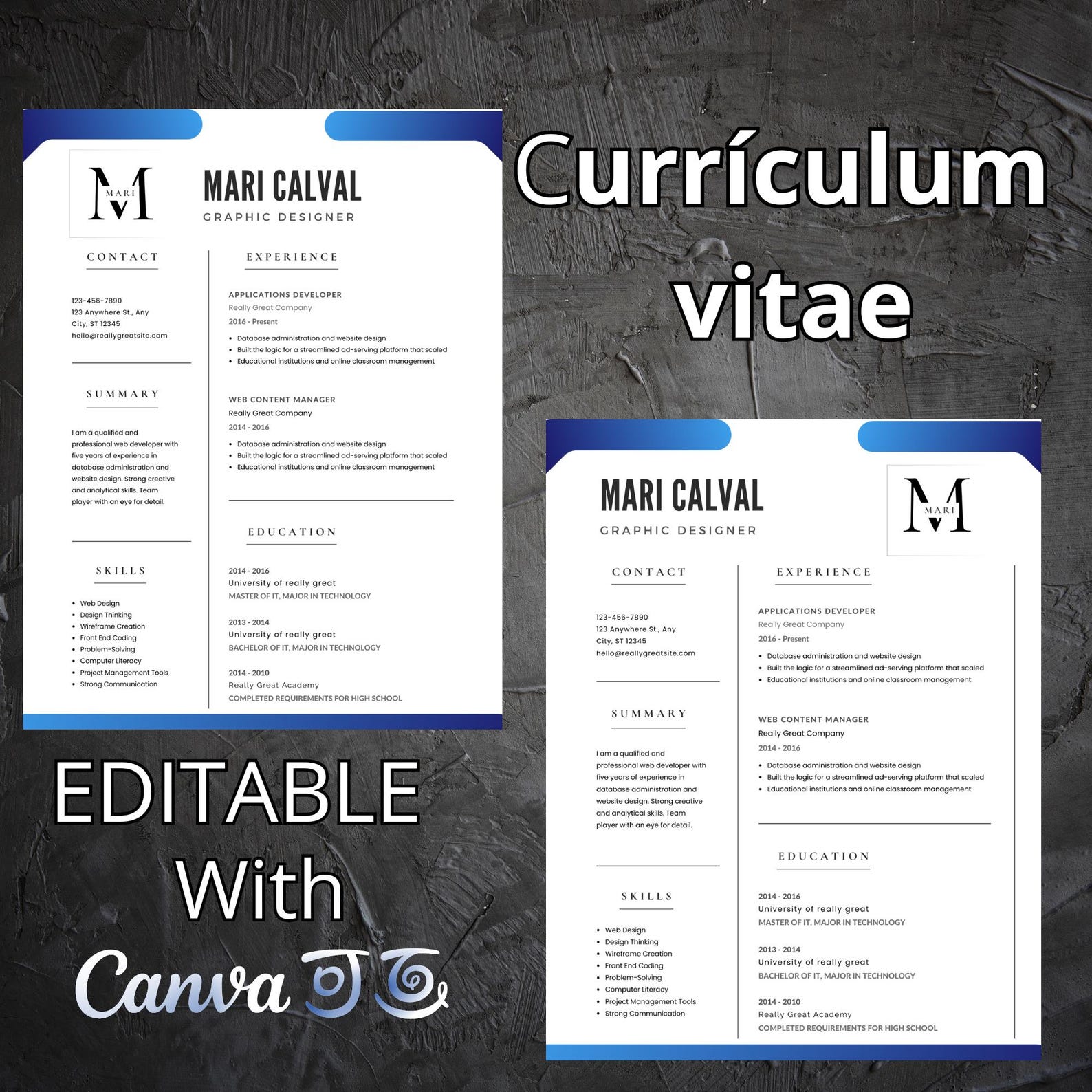 Editable and Customizable Curriculum Vitae Template | Professional CV ...