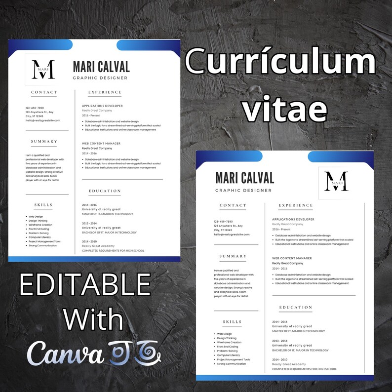 Editable and Customizable Curriculum Vitae Template | Professional CV ...